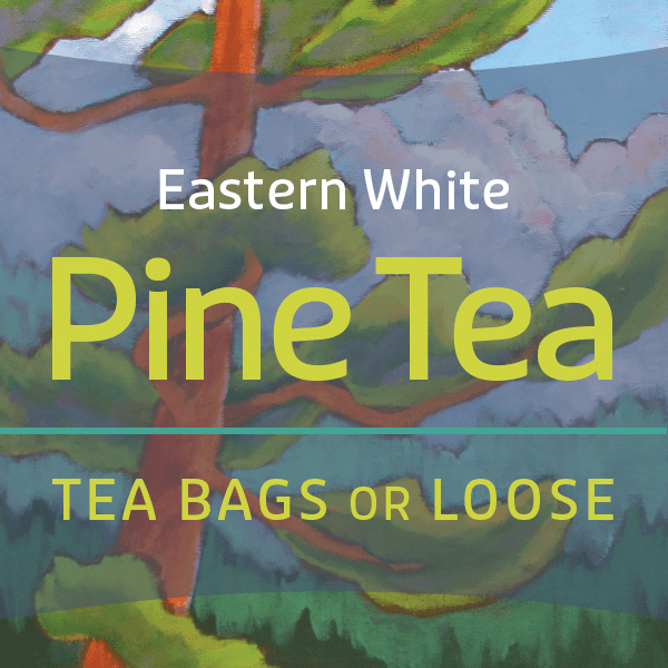 Local Canadian Tea - Algonquin Tea